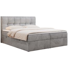 BOXBETT RICO 140/200 Hellgrau Velvet - H4
