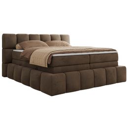 BOXSPRINGBETT NIRA KING 140/200 Braun Velvet - H3