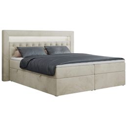 BOXBETT GOLD-6 LED 120/200 Beige Velvet - H4