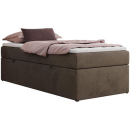 BOXBETT ZERO 90/200 - Braun Velvet - H4 - Topper Visco