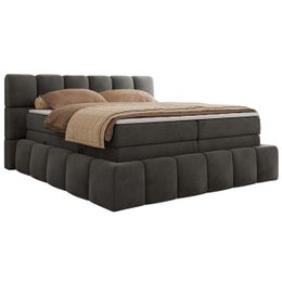 BOXSPRINGBETT NIRA KING 200/200 Dunkelgrau Velvet - H3