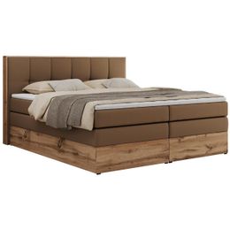 BOXSPRINGBETT ALBERO 1 KING 140/200 Braun Kunstleder - H4