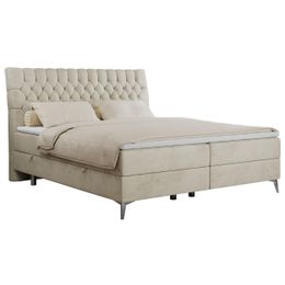 BOXBETT MILEN 120/200 Beige Velvet - H4