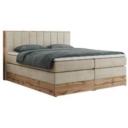 BOXSPRINGBETT BELLISSIMO KING 200/200 Beige Velvet - H3
