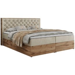 BOXBETT ALBERO 3 - 200/200 Beige Velvet - H3