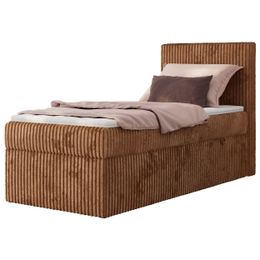 BOXBETT TILIANO 90/200 - Orange Cord - H4 - Rechts