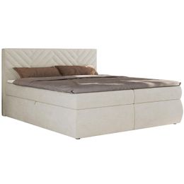 BOXBETT AVERTA 160/200 - Creme Schenille glatt - H4