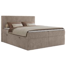 BOXBETT TILIANO 200/200 - Hellbraun Cord - H4