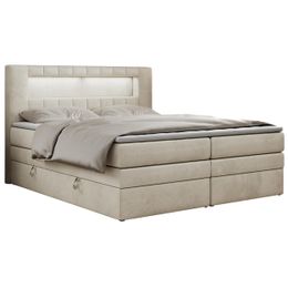 BOXSPRINGBETT GOLD-5 KING LED 200/200 Beige Velvet - H4