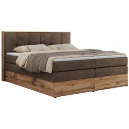 BOXSPRINGBETT ALBERO 1 KING 180/200 Braun Velvet - H4