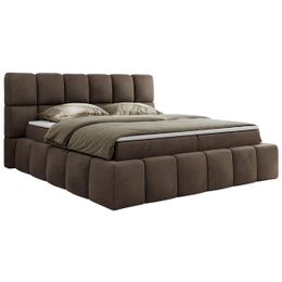 BOXBETT NIRA 200/200 - Braun Velvet - H3