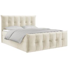 BOXBETT PREMIUM 11 120/200 Beige Velvet - H4