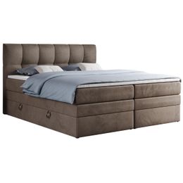 BOXSPRINGBETT ALVIN KING 160/200 Braun Velvet - H3