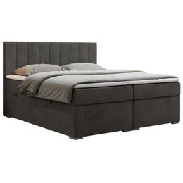 BOXBETT LOPE 120/200 - Dunkelgrau Velvet - H4