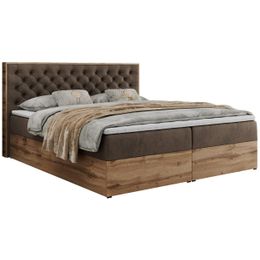 BOXBETT ALBERO 3 - 120/200 Braun Velvet - H3