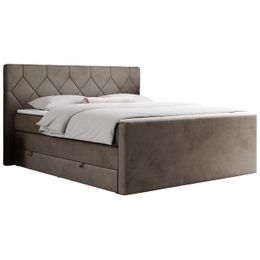 BOXSPRINGBETT KING EIGAR 200/200 Braun Velvet - H3