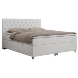 BOXBETT ROMA 200/200 - Wei&szlig; Kunstleder - H4