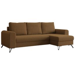 ECKSOFA Hugo Boucle Braun