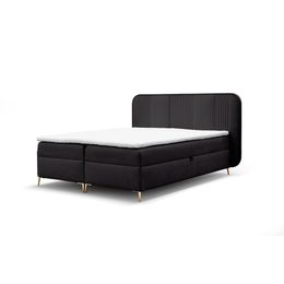 Fun M&ouml;bel BOXBETT Avery Premium