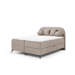 Fun M&ouml;bel BOXBETT Gorgia