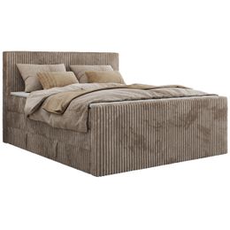 BOXSPRINGBETT TILIANO KING DUO 180/200 - Hellbraun Cord - H3