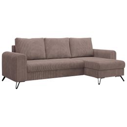 ECKSOFA Hugo Cord Rosa
