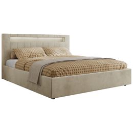 POLSTERBETT GOLD 5 CLASSIC 160/200 - Beige Velvet - Schaum-Matratze