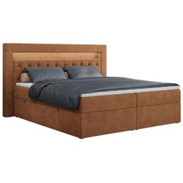 BOXBETT GOLD-6 LED 120/200 Orange Struktur - H4
