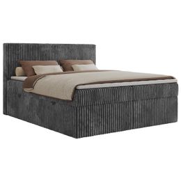 BOXBETT TILIANO 200/200 - Grau Cord - H4