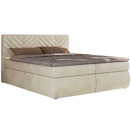 BOXBETT AVERTA 180/200 - Beige Velvet - H3