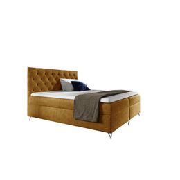 Fun M&ouml;bel BOXBETT Ambre In &uuml;berl&auml;nge