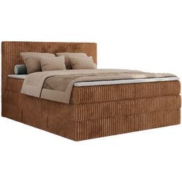 BOXSPRINGBETT TILIANO KING - 200/200 - Orange Cord - H4