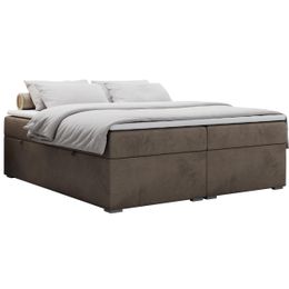 BOXBETT BESS 160/200 Braun Velvet - H4