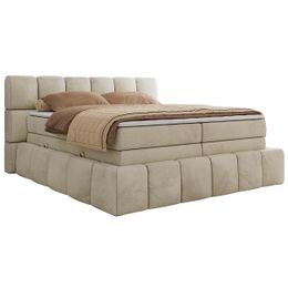 BOXSPRINGBETT NIRA KING 200/200 Beige Velvet - H4