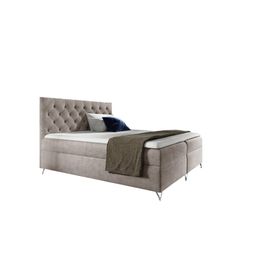 Fun M&ouml;bel BOXBETT Ambre In Fresh