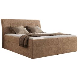 BOXBETT DAGOS 180/200 - Hellbraun Schenille grob gewebt - H3 - Topper T25