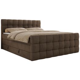 BOXSPRINGBETT ALTIVO KING DUO 180/200 - Braun Velvet - H4