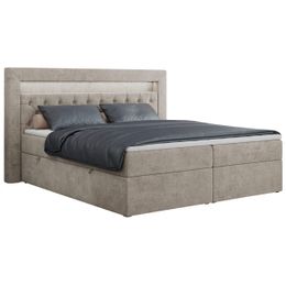 BOXBETT GOLD-6 LED 120/200 Beige Struktur - H4
