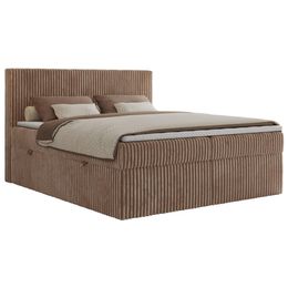BOXBETT TILIANO 160/200 - Braun Cord - H3