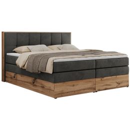 BOXSPRINGBETT ALBERO 1 KING 200/200 Dunkelgrau Velvet - H4