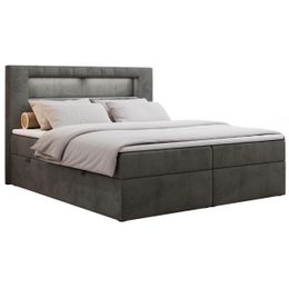BOXBETT GOLD-5 LED 120/200 Dunkelgrau Velvet - H3