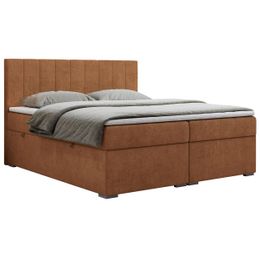 BOXBETT LOPE 120/200 - Orange Strukture - H4