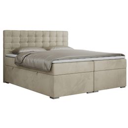 BOXBETT SUSAN 120/200 Beige Velvet - H4