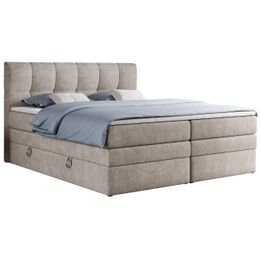 BOXSPRINGBETT ALVIN KING 120/200 Beige Struktur - H3