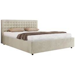 POLSTERBETT PAVO CLASSIC 200/200 - Beige Velvet - Schaum-Matratze