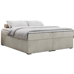 BOXBETT BESS 120/200 Beige Velvet - H4