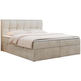 BOXBETT RICO 120/200 Beige Velvet - H4