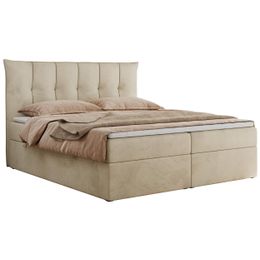 BOXBETT PREMIUM 10 120/200 Beige Velvet - H4