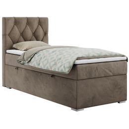 BOXBETT ALDA 90/200 Braun Velvet - H4 - Links Seite