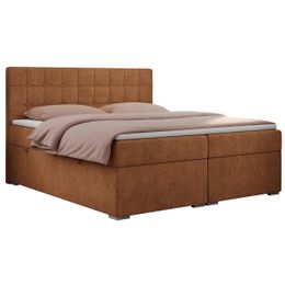 BOXBETT CARMEN 180/200 Orange Struktur - H4